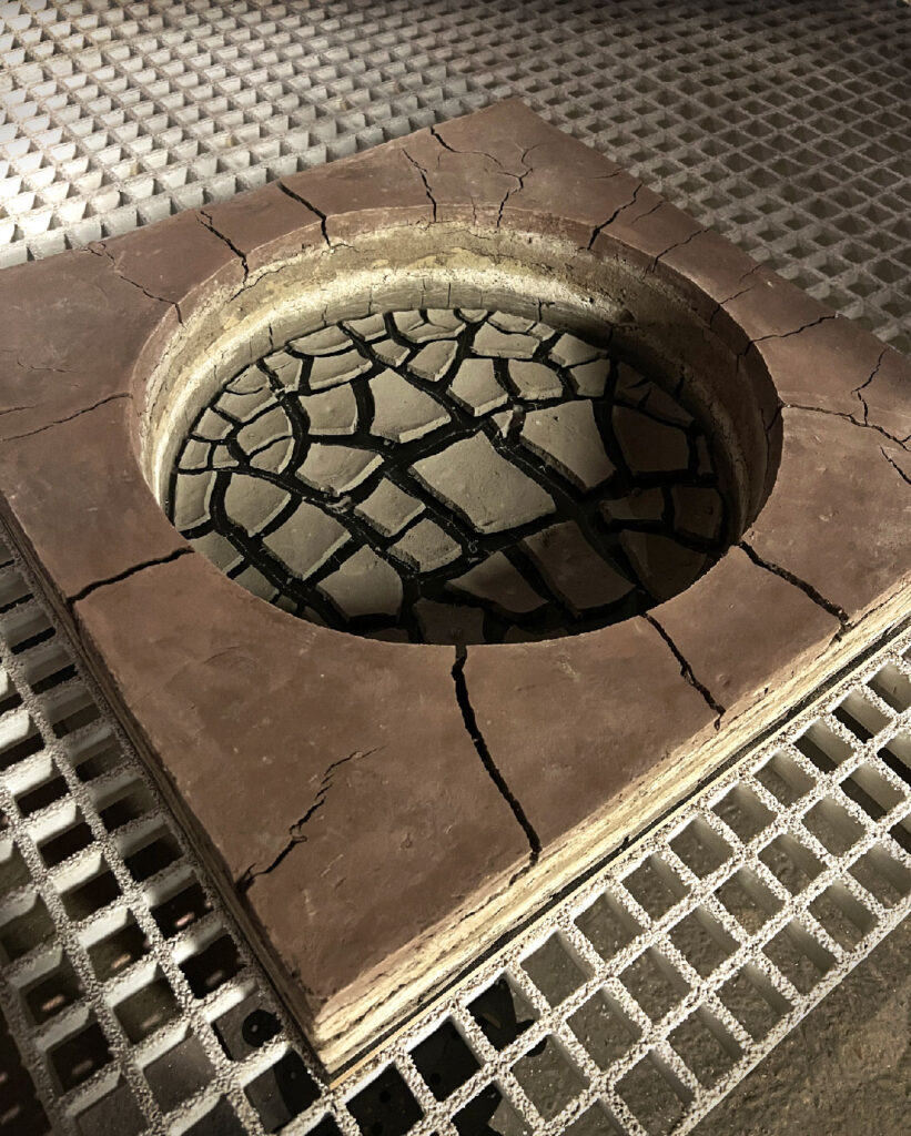 Courtesy to Mud – Living Landscapes